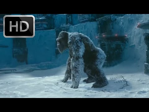 "Kong Wakes Up In Snow" Godzilla Vs Kong Movie Clip | Full HD (2021)# ...
