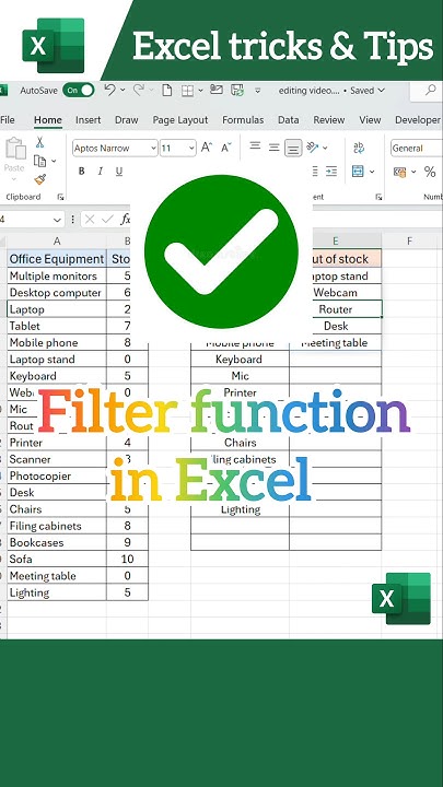 Filter function in Excel #excel shortcuts Keys#Excel tricks#Excel Tips# ...