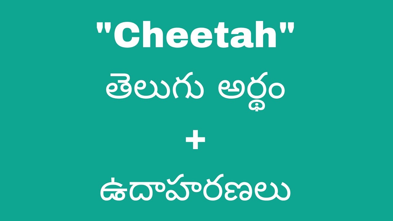 Cheetah meaning in telugu with examples | Cheetah తెలుగు లో అర్థం ...