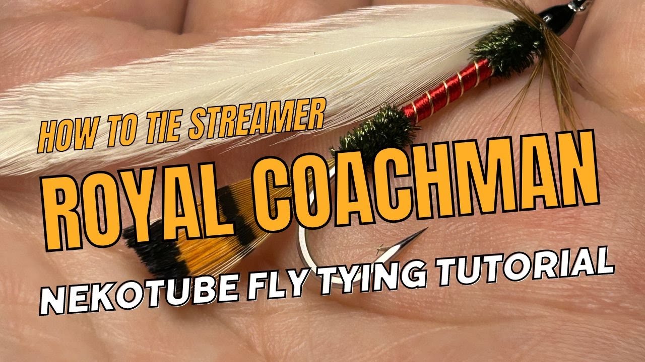 How to tie feather wing's streamer "The Royal coachman" , Neko's style ...