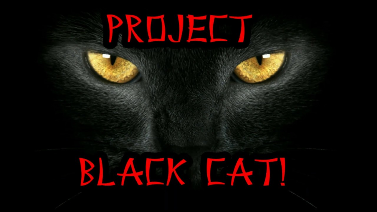 Project Black Cat! - Typewriter! - YouTube