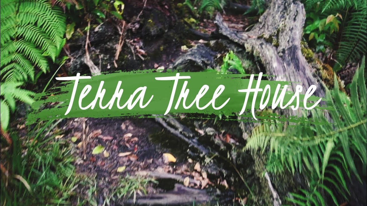A Trip to Terra Tree House, Cameron Highland - YouTube