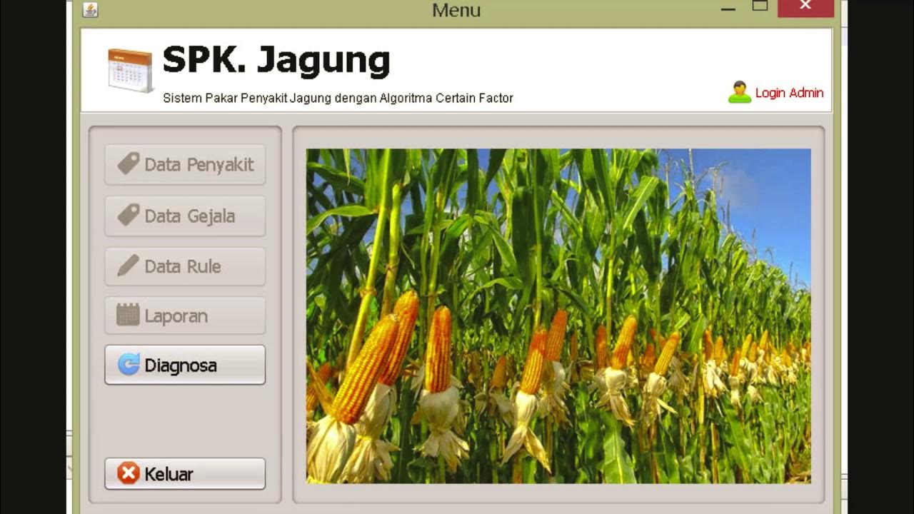 jasa pembuatan revisi bimbingan & kursus aplikasi pengolahan citra ...