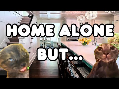 Cat Memes: WHEN YOU'RE HOME ALONE BUT - YouTube