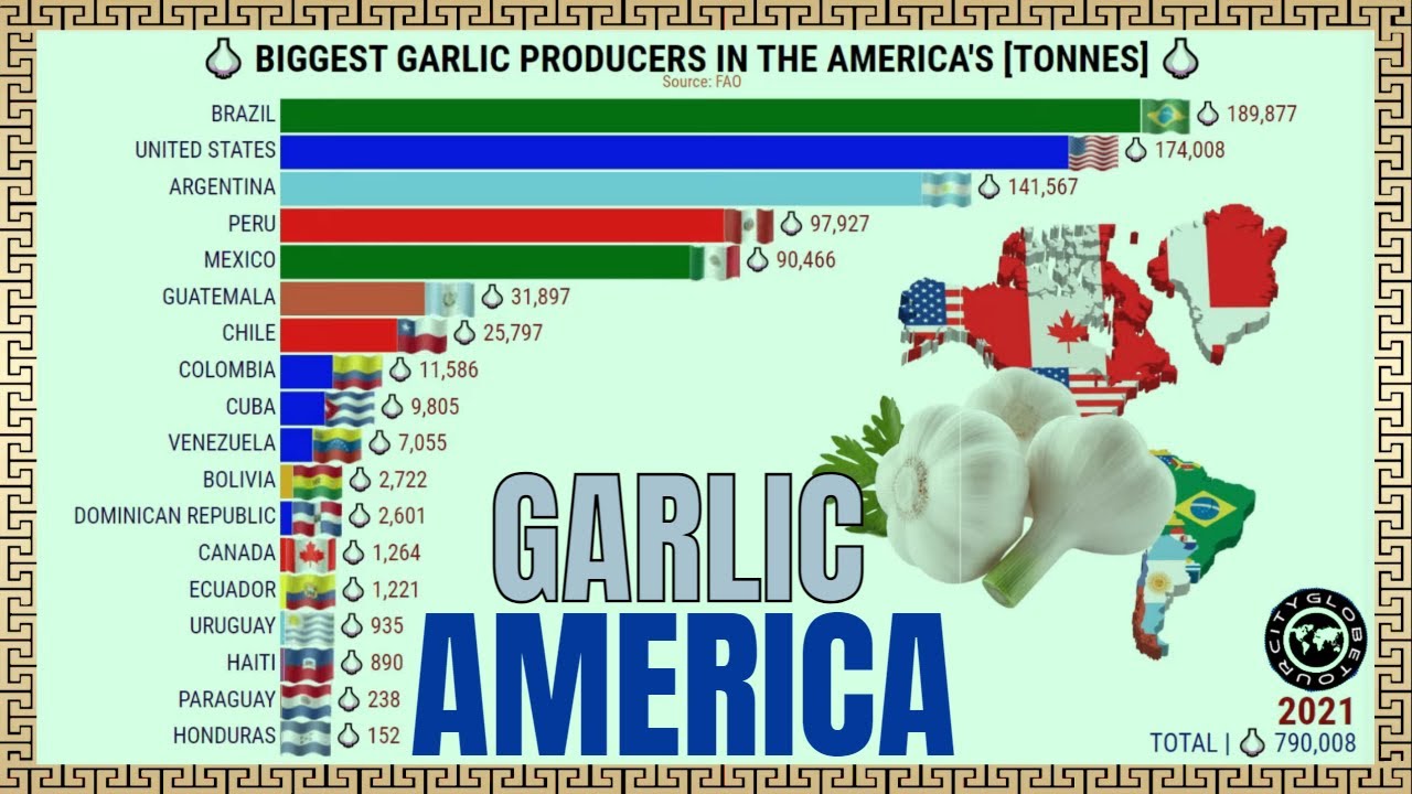 THE LARGEST GARLIC PRODUCERS IN THE AMERICA'S 🧄 - YouTube
