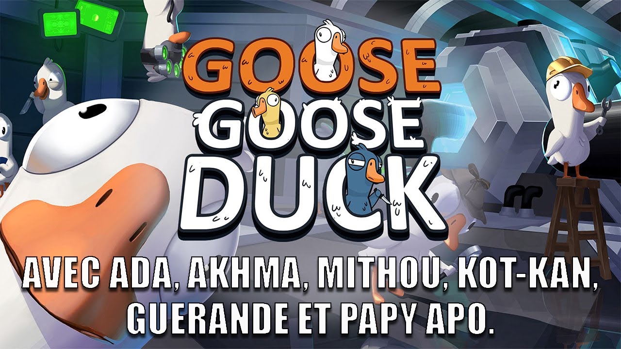 [MULTIPLAYER OF MADNESS] Goose Goose Duck ! - YouTube