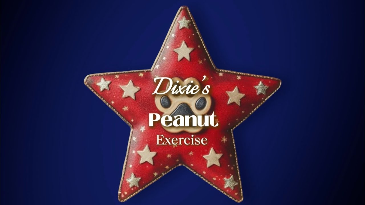 Peanut Exercise for Dogs - YouTube