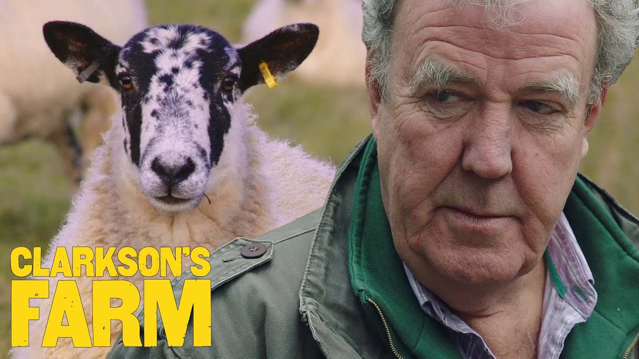 Jeremy Gets Emotional Saying Goodbye To His Sheep | Clarkson's Farm ...