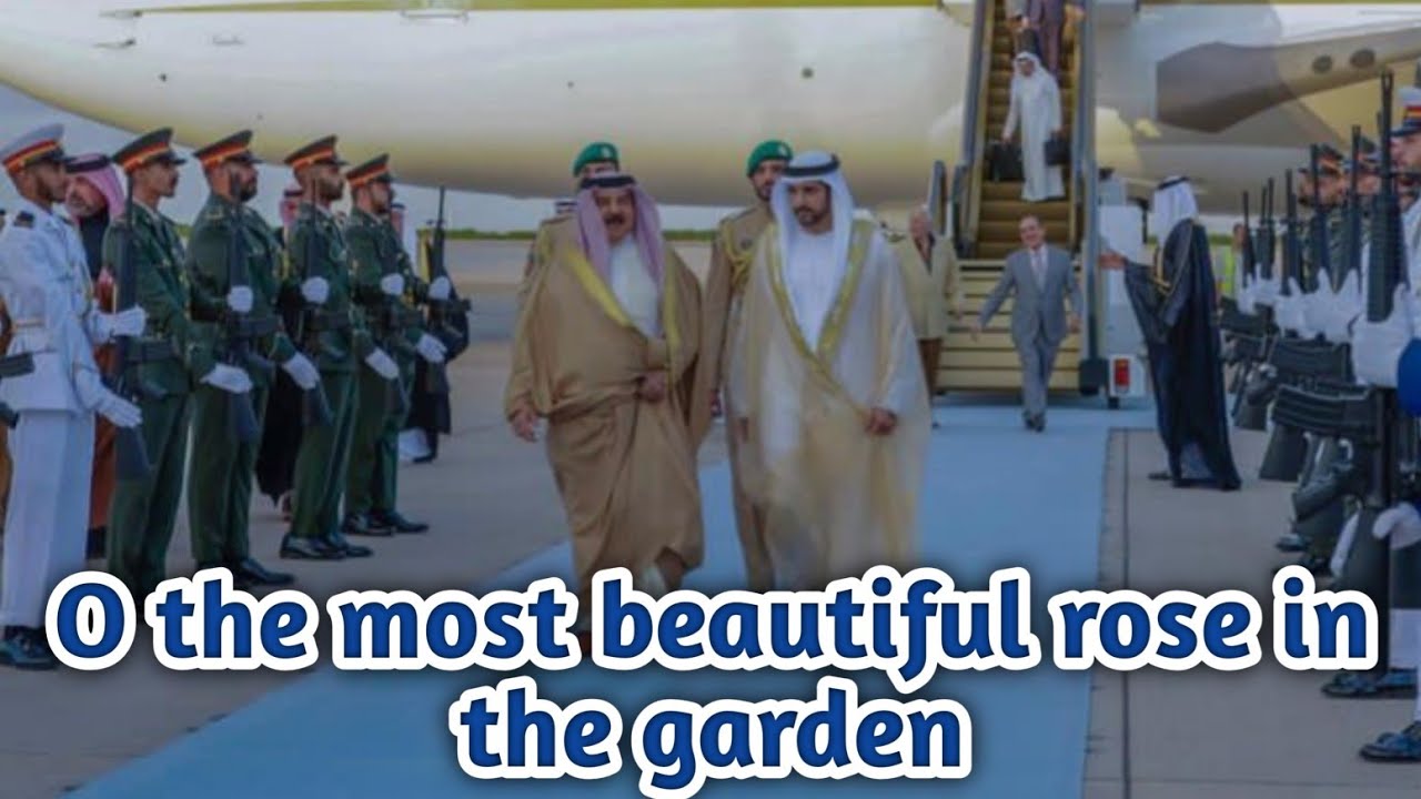 Fazza Poems | O the most beautiful rose |Sheikh HamdanPoetry #faz3 # ...