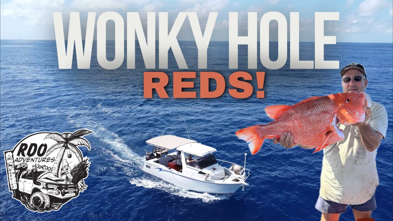 FNQ REEF FISHING TRIP | WONKY HOLES | RED EMPEROR! - YouTube