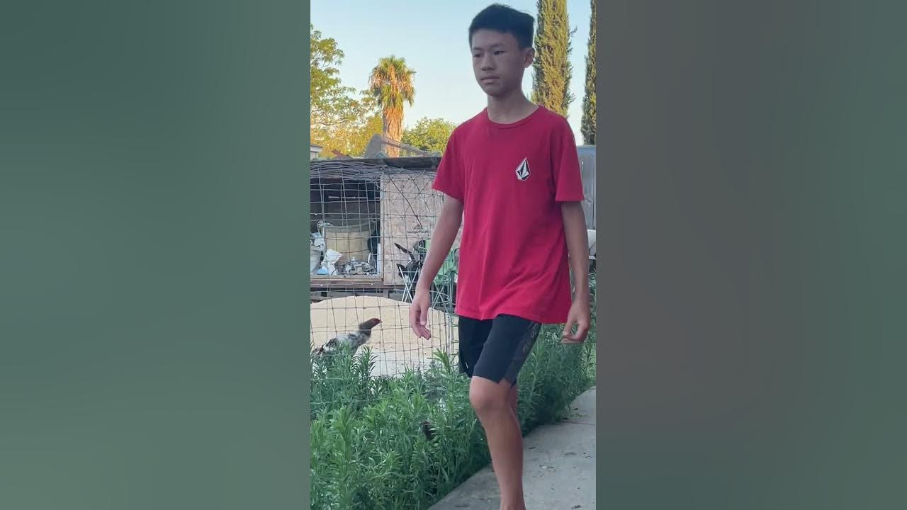 Update me nyuam qaib coob kawg li nawb - YouTube