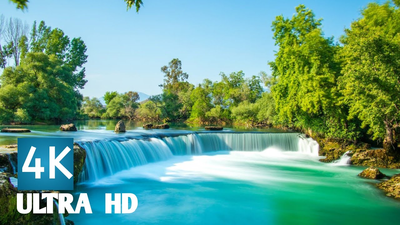Forest 4K Nature Relaxation Film | Relaxing Music | Nature Sounds of ...