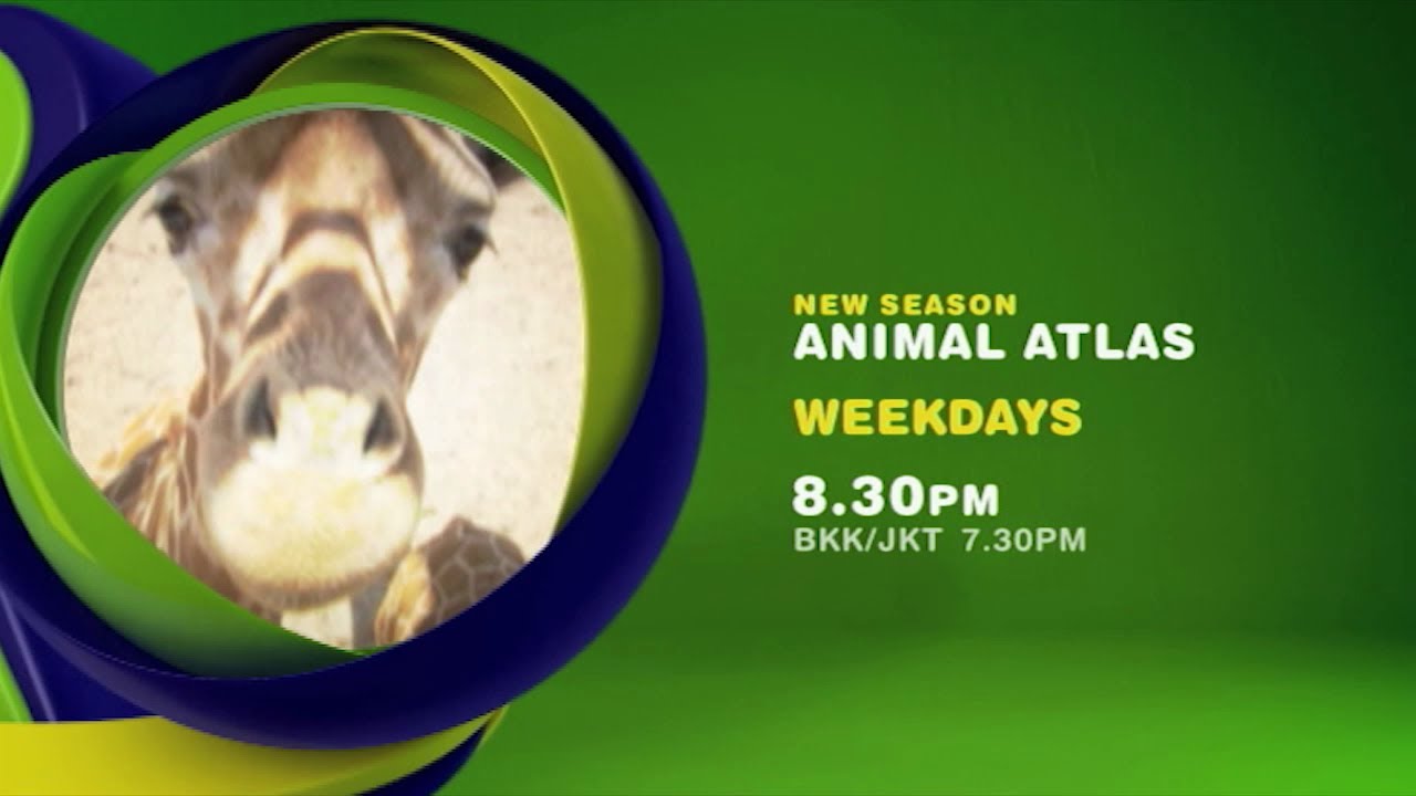 Animal Atlas 5 - YouTube