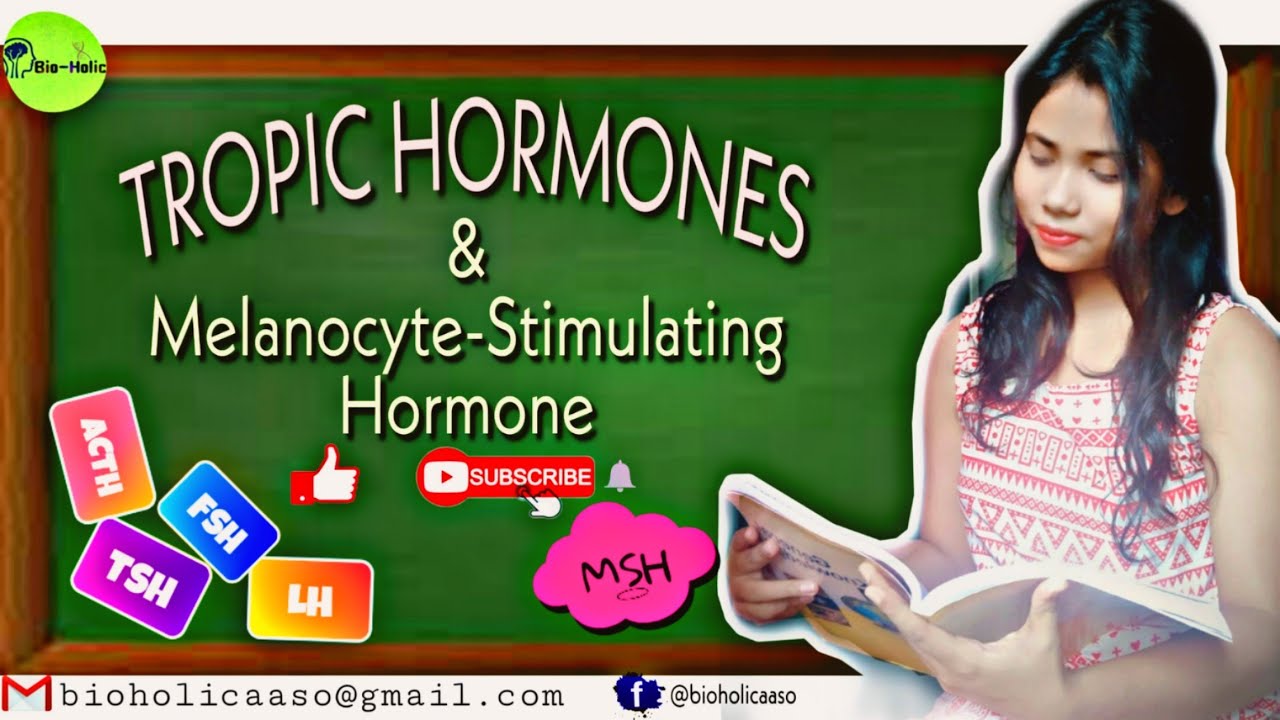 Tropic Hormones (TSH,ACTH,FSH,LH) || Melanocyte Stimulating Hormone ...