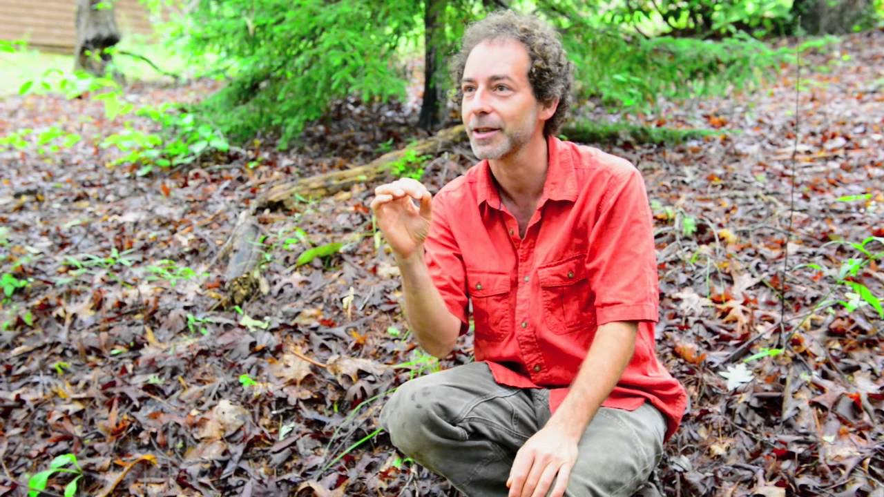 The Mushroom Man, Alan Muskat, and Chef William Dissen (The Market ...