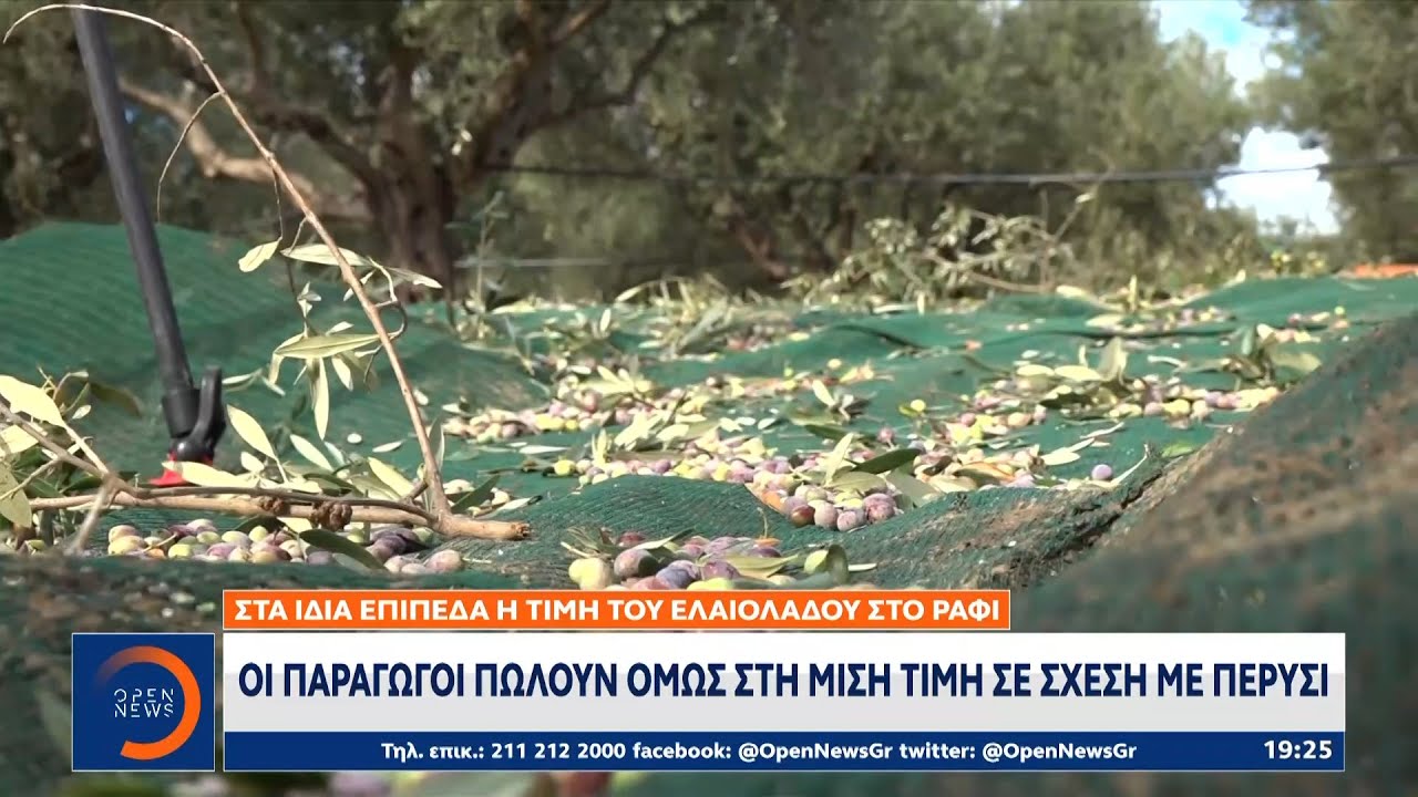 Στα ίδια επίπεδα η τιμή του ελαιόλαδου παρά τη διπλάσια φετινή παραγωγή ...