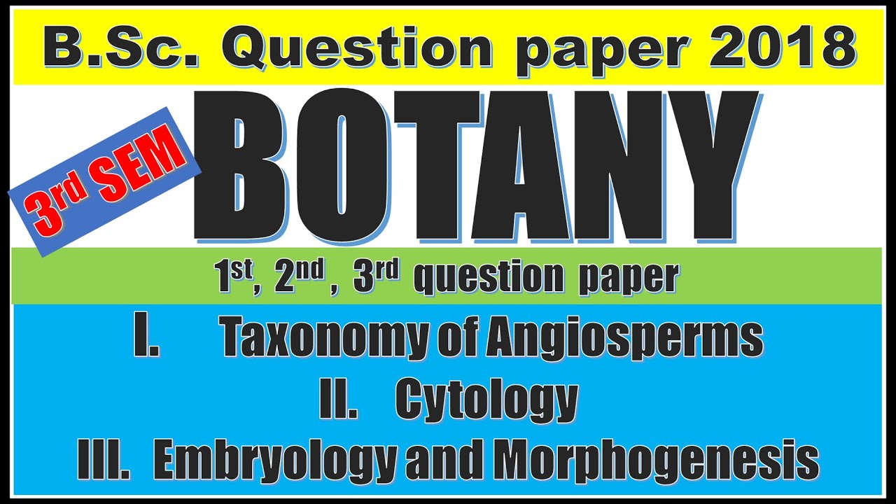 Bsc 3rd sem botany question paper | Botany paper | #examidea - YouTube