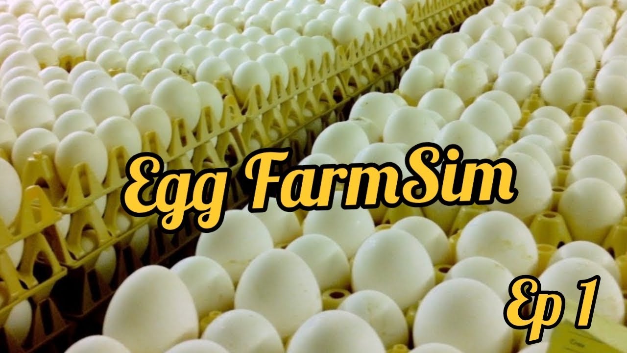 Egg Farm Sim With XxGhost - Roblox| *UNCUT* - YouTube