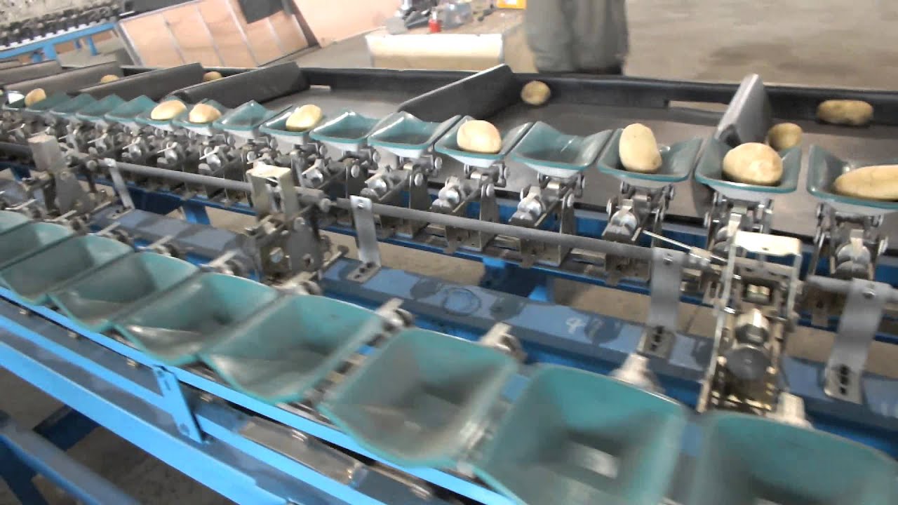 potato /mango/tomato/onion sorting /grading machine by weight - YouTube