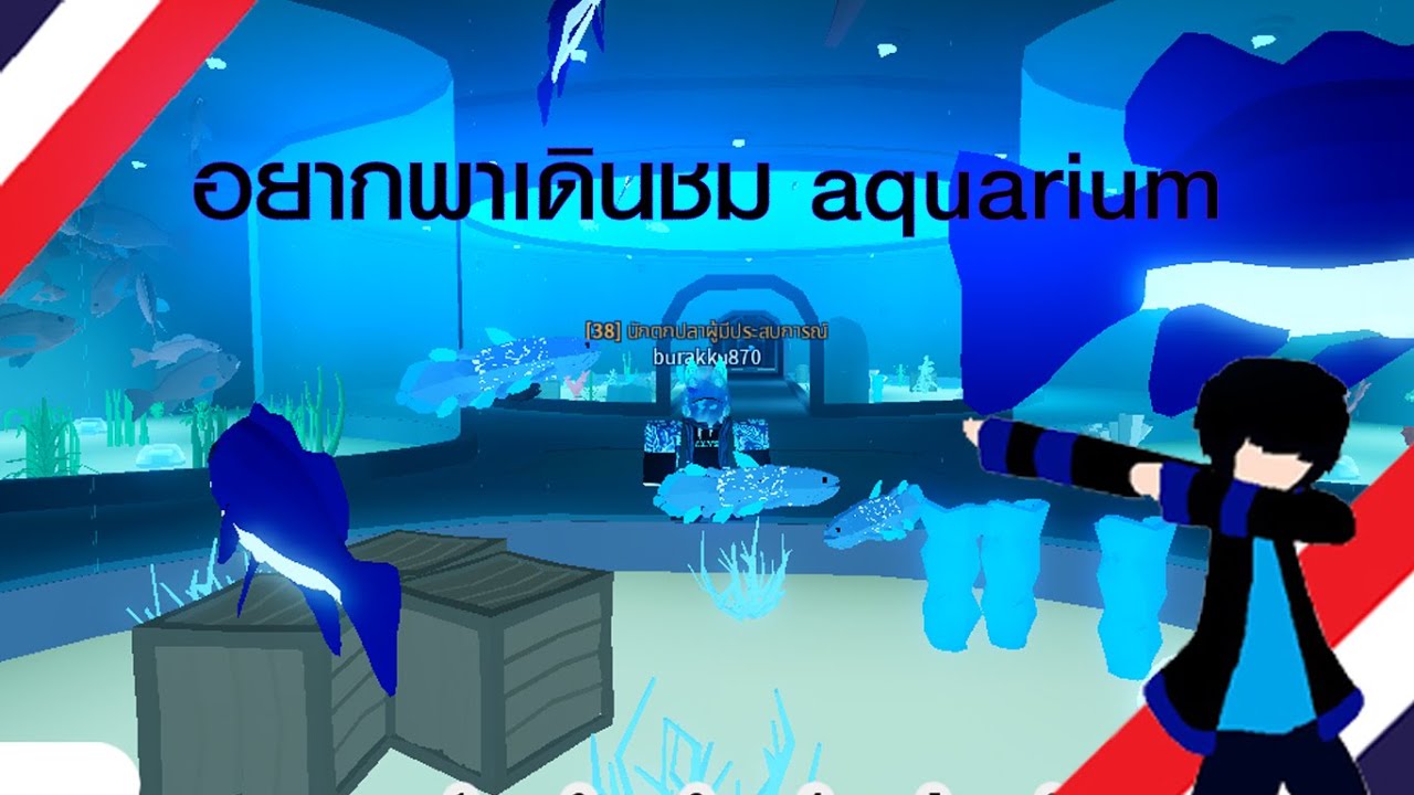 Roblox : Fishing Simulator อยากแต่งตู้ปลา Aquarium - YouTube