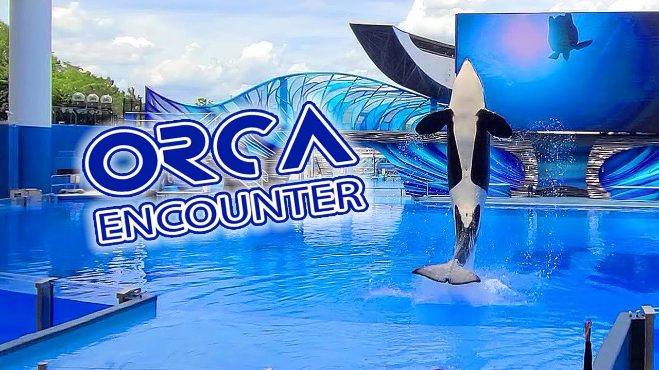 Orca Encounter (Full Show HD) A Killer Whale Experience - SeaWorld Orlando - YouTube