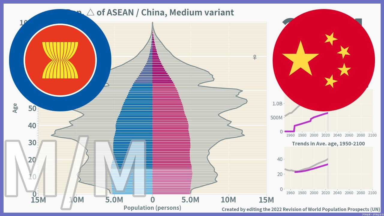 [⚪ASEAN vs 🇨🇳China] Comparison of Population Pyramids (1950-2100 ...