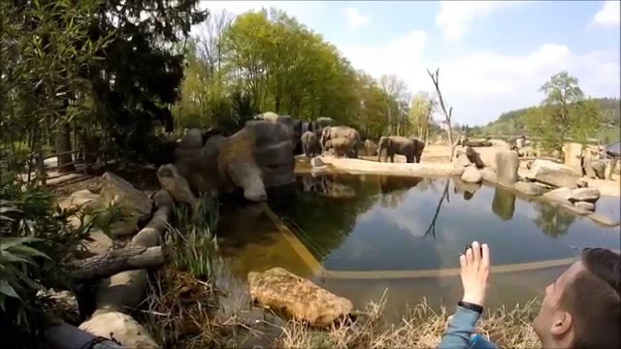 GoPro: Praha Zoo / Prague Zoo - YouTube