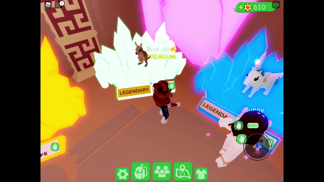 NEW PET SHOP IN CLUB ROBLOX - YouTube