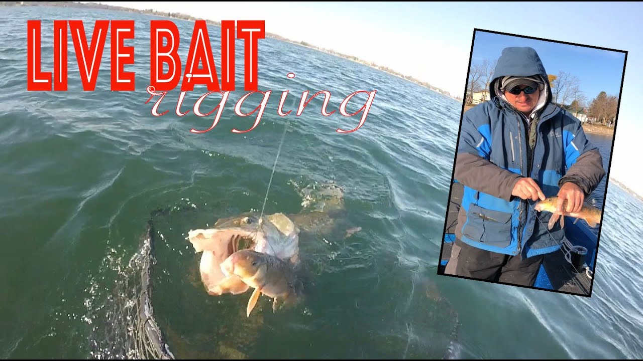 Musky Fishing Tip Live Bait Rigging Sucker Rigging - YouTube