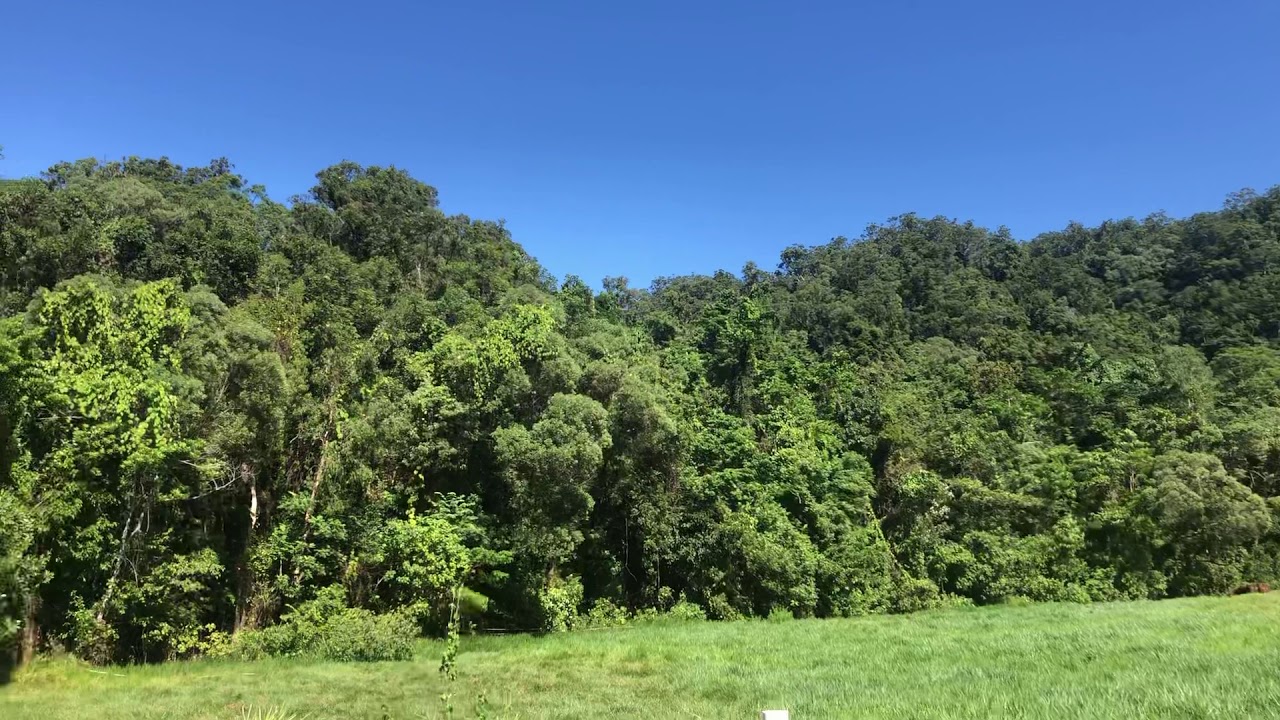 Sunshine day at our farm🐎🌴 - YouTube