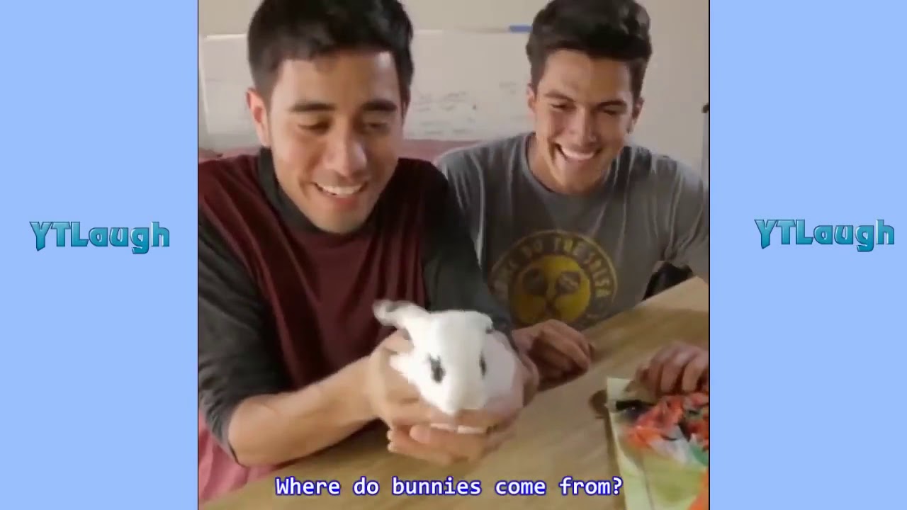 Top of Zach King Incredible Magic Tricks Ever New Best Zach King Magic ...