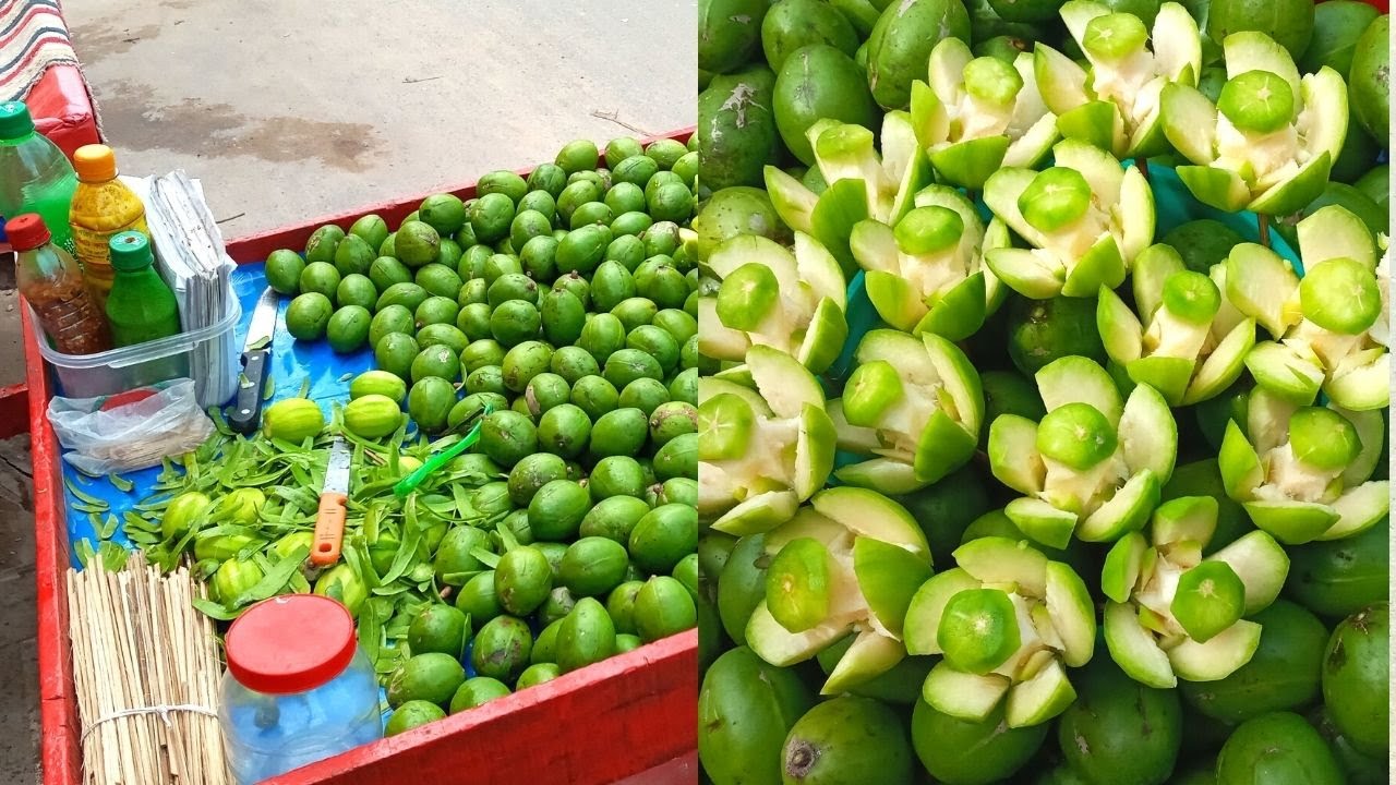 FRUIT HOG PLUM CUTTING || SPONDIAS MOMBIN PLANT | AMRA PLANT CUTTING ...
