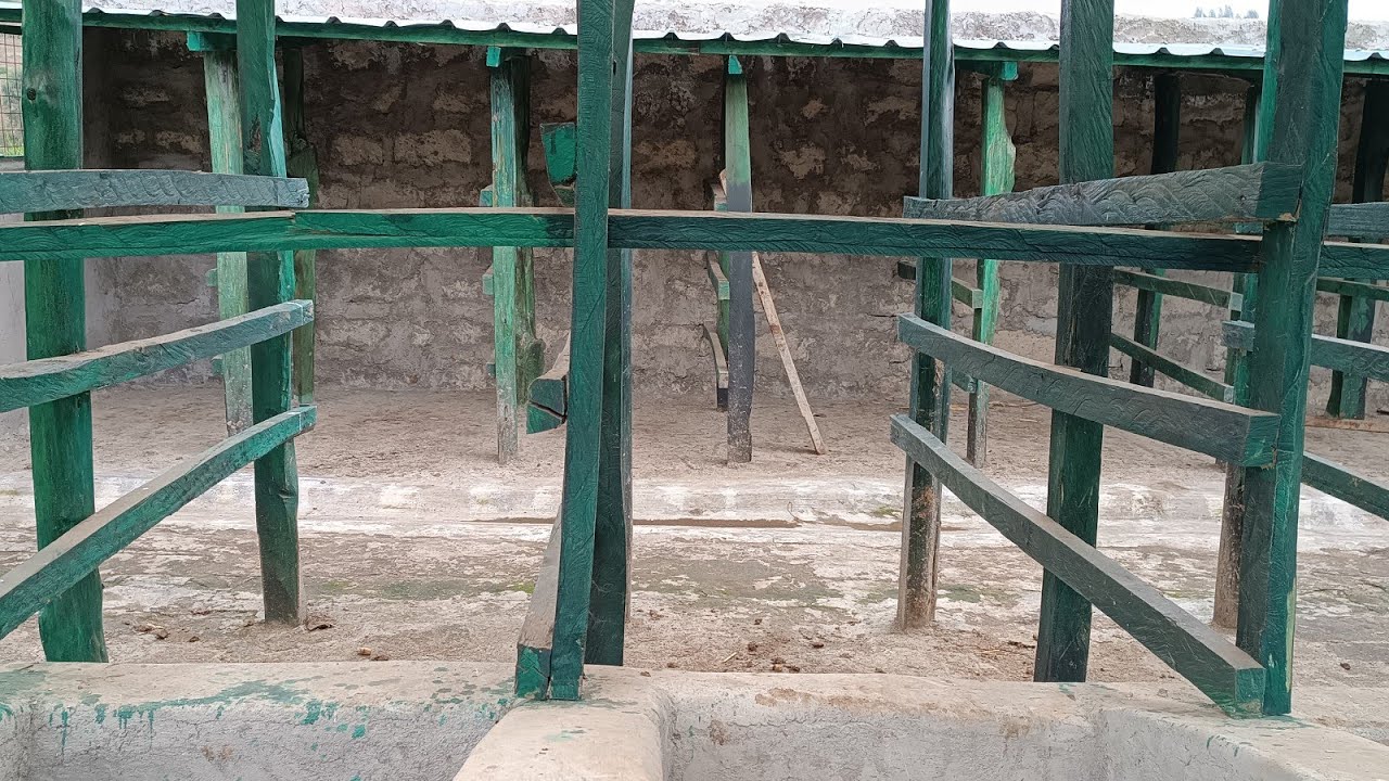 Farmer upgrade to a zero grazing unit - YouTube