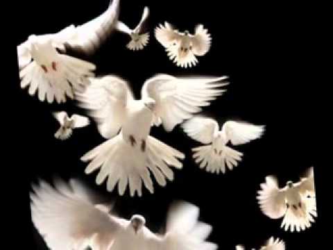 EVLAT ACISI  - KAMER ÇETİNTAŞ