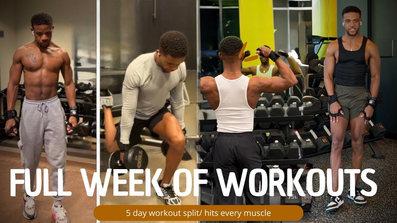 Full week of Workouts! The ultimate 5-Day Split Routine! Crush your ...