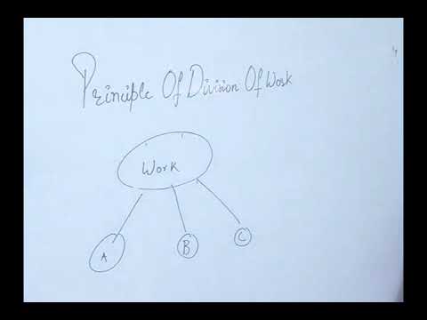 principle of division of work - YouTube