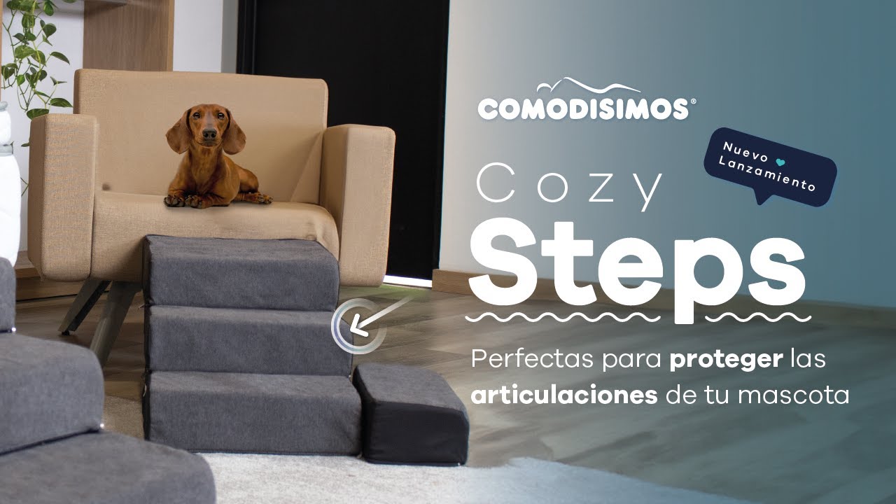 Te presentamos nuestras nuevas escaleras Cozy Steps 🐶 - YouTube