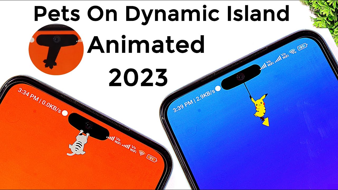 Cat On Dynamic Island | New Dynamic Island 2023 On Android | Pika ...