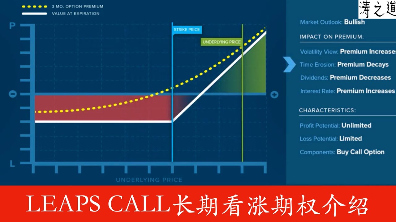 LEAPS CALL 长期看涨期权介绍（第163期 2021年11月） - YouTube