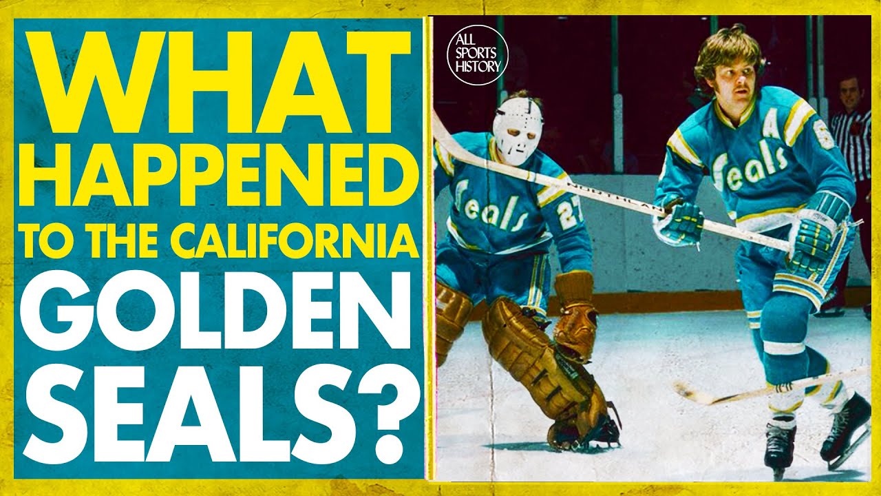 WHAT HAPPENED TO THE CALIFORNIA GOLDEN SEALS? // DEFUNCT: A CALIFORNIA ...