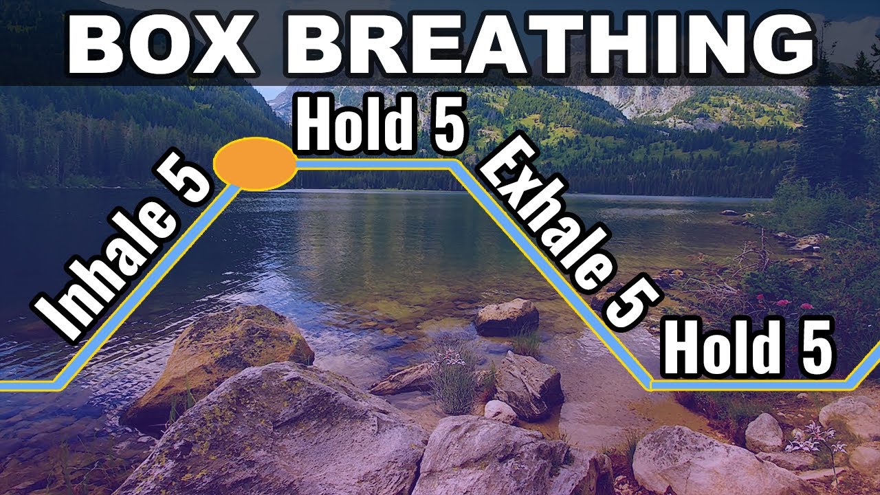 Calming Box Breathing Guided by Relaxing Sounds - YouTube