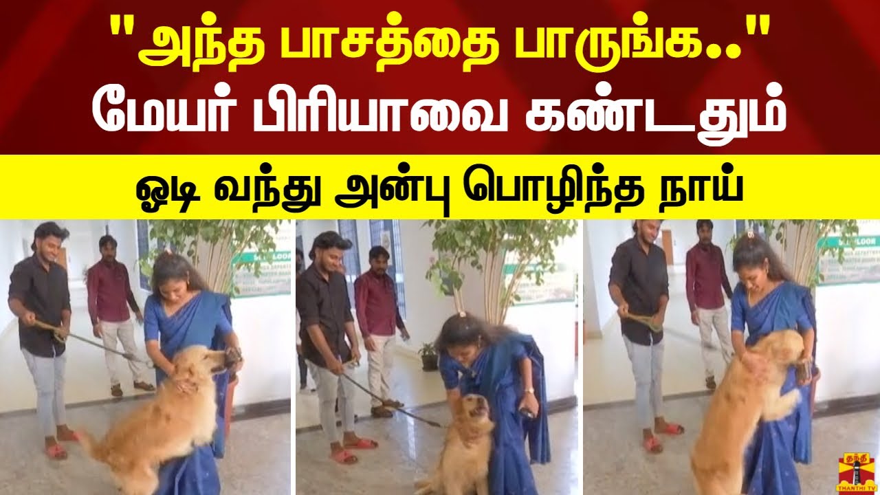 "அந்த பாசத்தை பாருங்க".. மேயர் பிரியாவை கண்டதும் ஓடி வந்து அன்பு ...