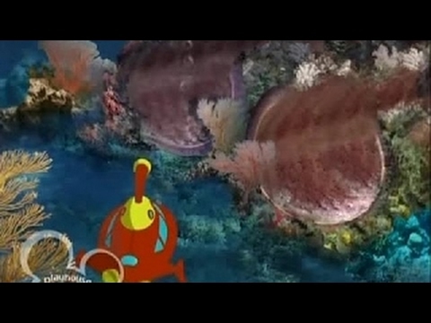 Little Einsteins S01E04 Whale Tale