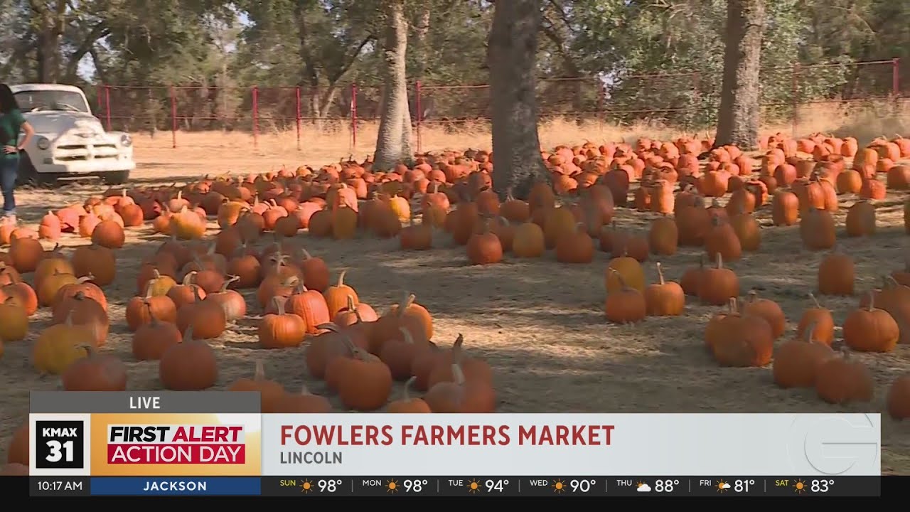 Pumpkin patch at Fowler Ranch in Lincoln! - YouTube