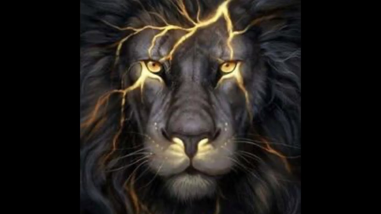 Leo—You Make Them Smile Like An Idiot…What A Turn Around! - YouTube