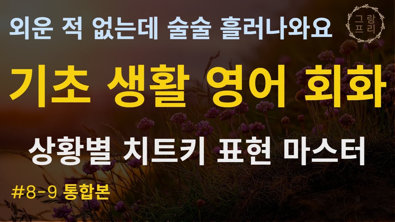 외운적 없는데 술술 흘러나와요 상황별 치트키 표현 마스터 짧은 일상영어 자주쓰는 유용한 핵심문장 쉬운패턴학습 레벨 업 잠 잘