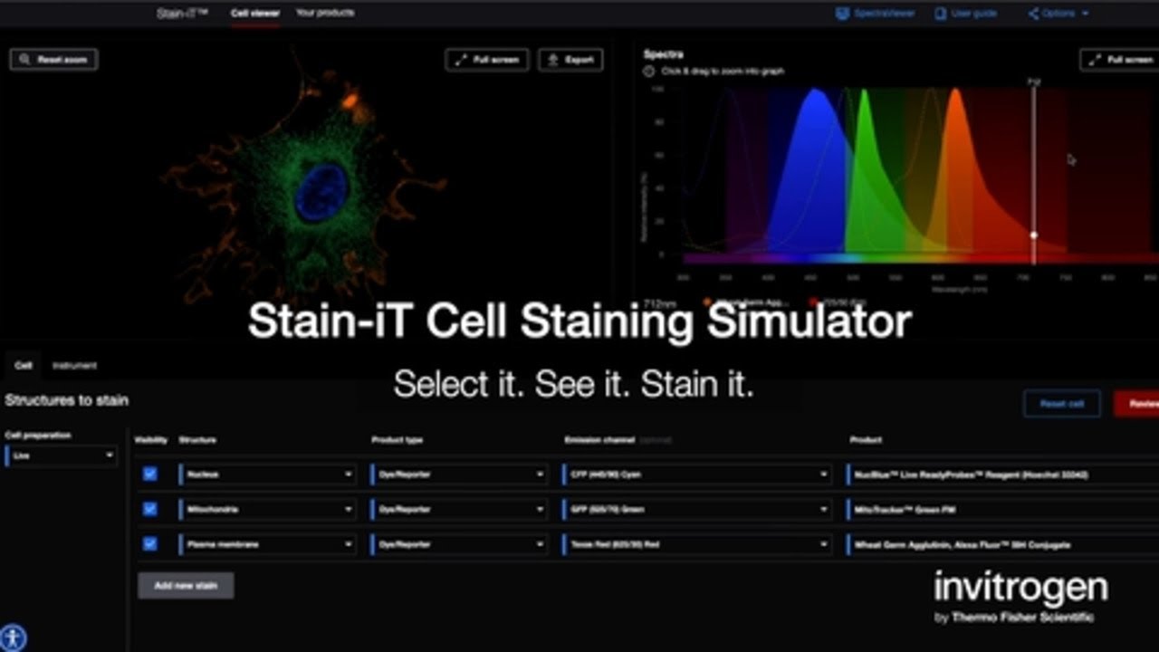Stain-iT Cell Staining Simulator Tutorial - YouTube