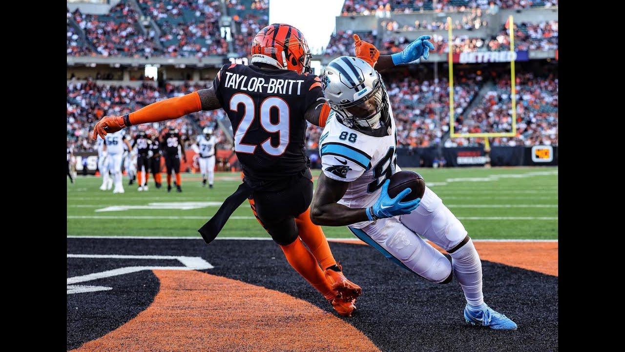 Carolina Panthers vs Cincinnati Bengals Game Recap | Week 9 2022 - YouTube