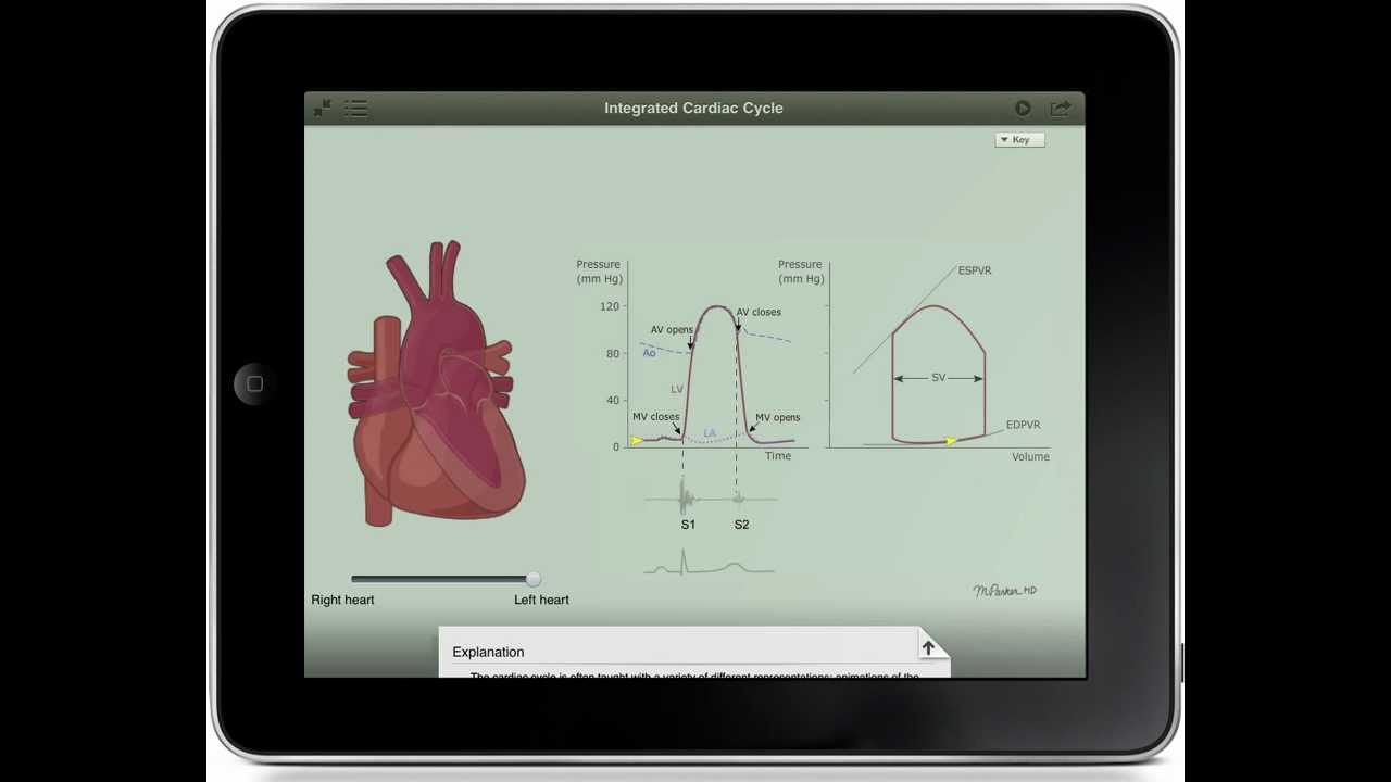 Cardiac Cycle iPad demo - YouTube