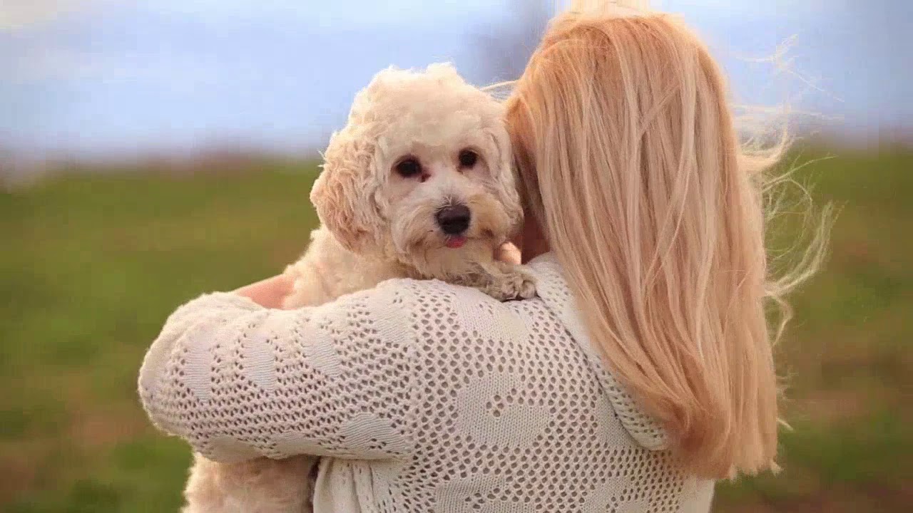 We Love Our Dogs - A Doo Doo Promo - YouTube